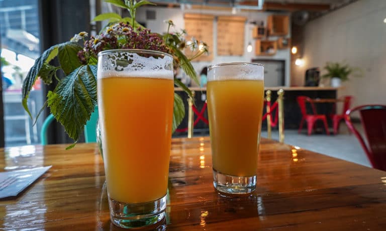 The 18 Best Seattle Breweries [2025 Brewery Guide]