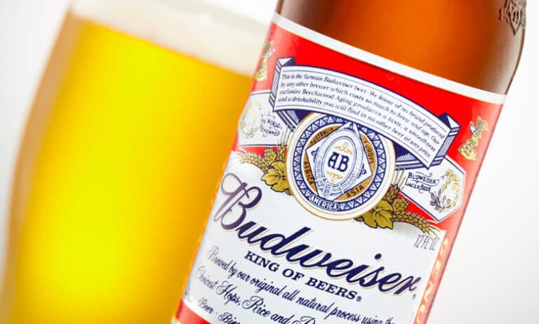 15 Popular Beer Types | Complete Guide To Craft Beer Styles