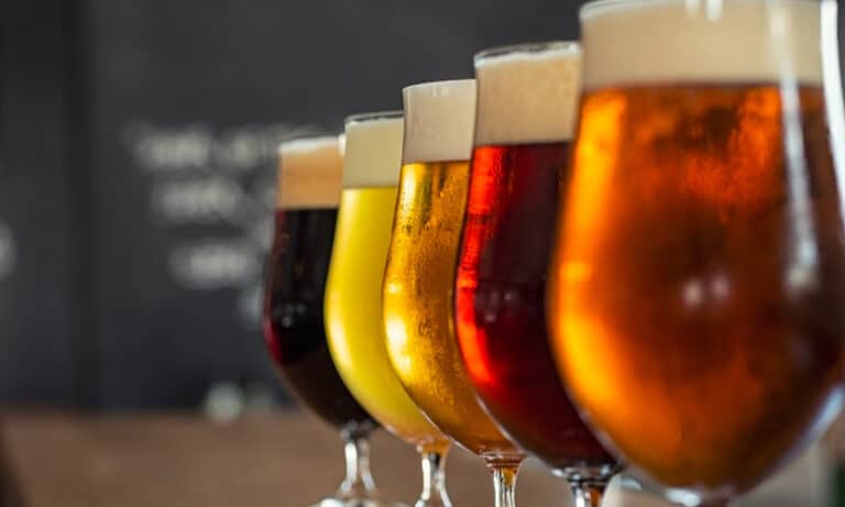 15 Popular Beer Types | Complete Guide To Craft Beer Styles