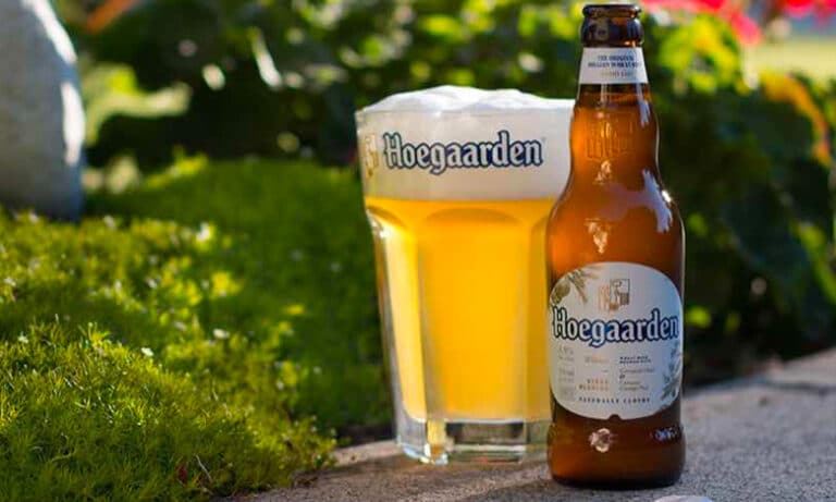 15 Popular Beer Types | Complete Guide To Craft Beer Styles