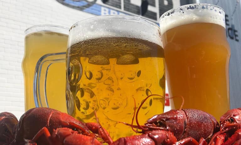 The 17 Best Houston Breweries [2025 Brewery Guide]