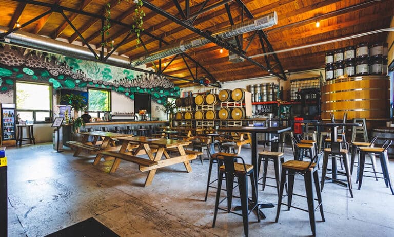 The 13 Best Grand Rapids Breweries [2025 Brewery Guide]